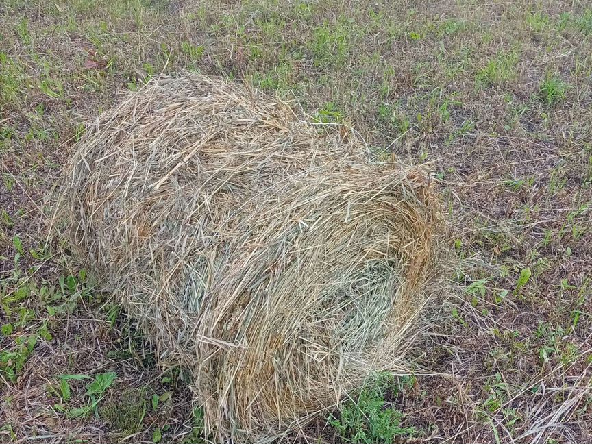 Сено в тюках