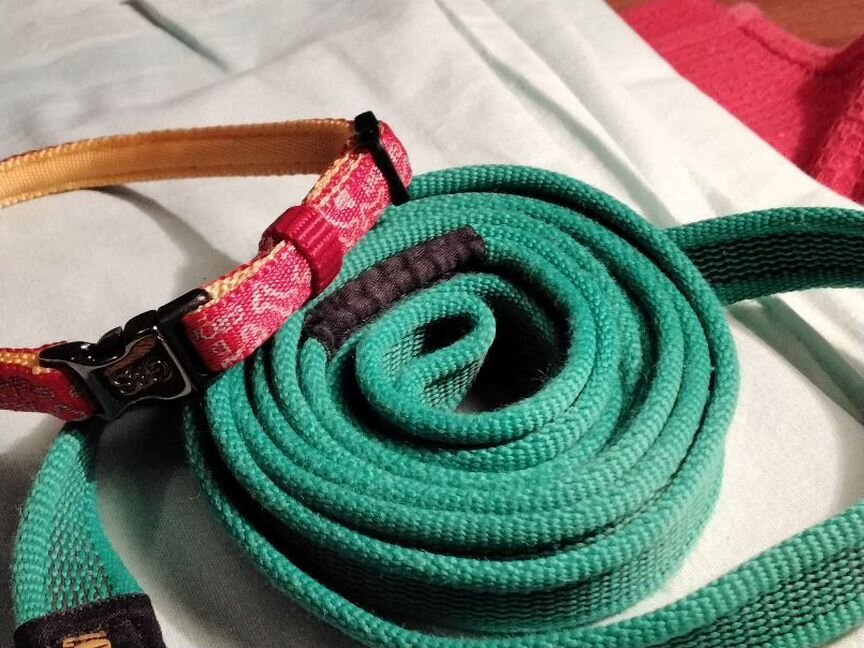 Ошейник и поводок для маленькой собаки