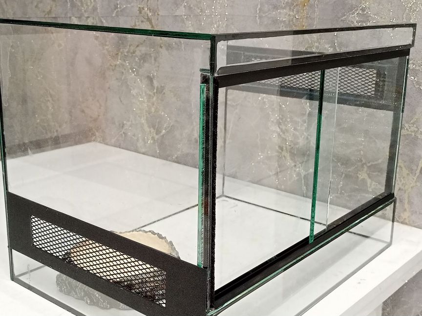 Террариум для рептилий