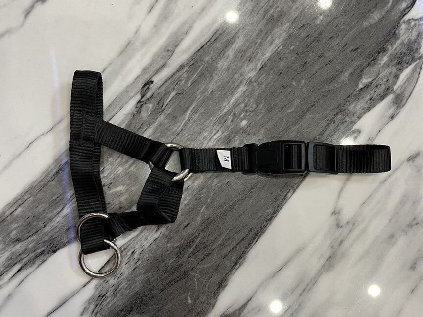 Недоуздок для собак