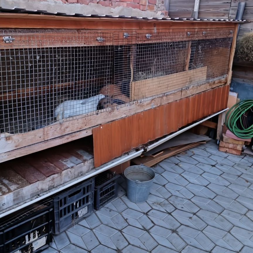 Клетка для кролика большая бу 120 на 90 2 шт двух