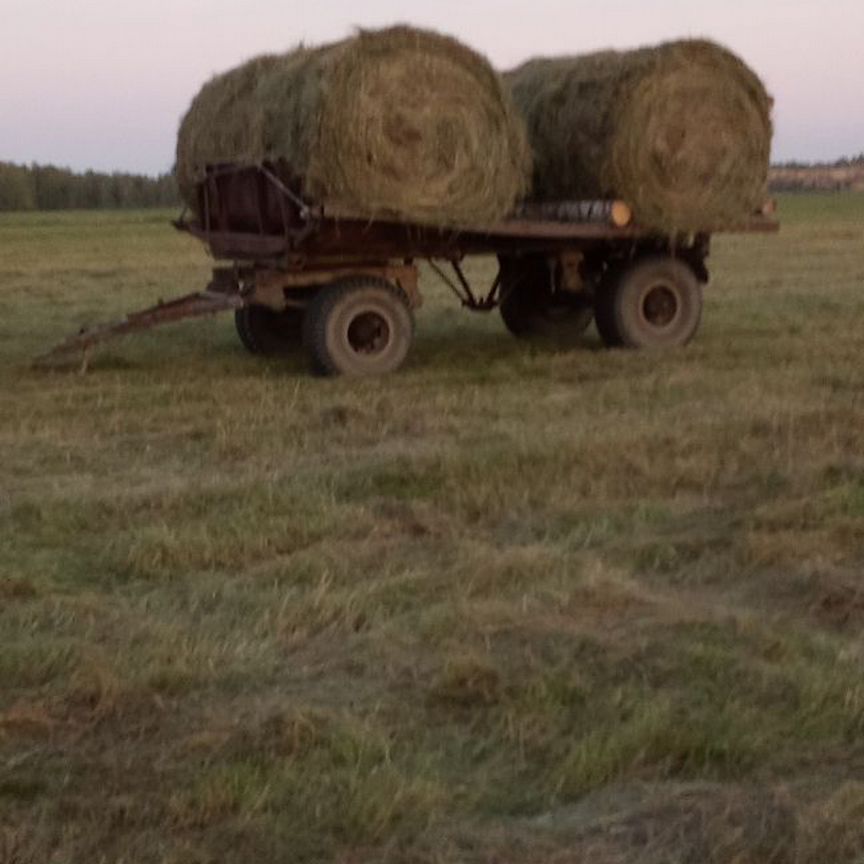 Продам сено в рулонах