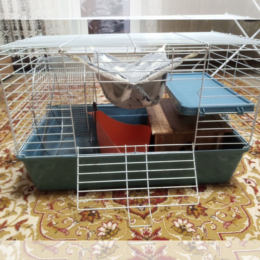 Клетка