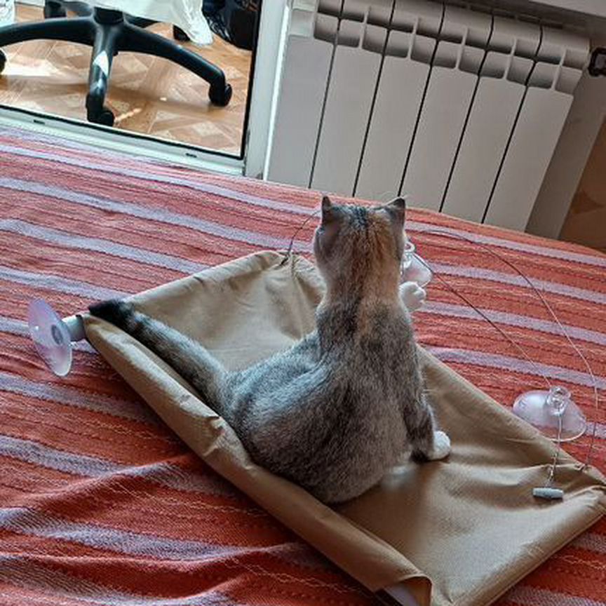 Гамак для кошек на окно