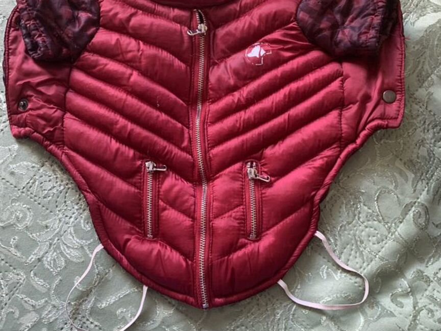 Одежда для собак мелких пород