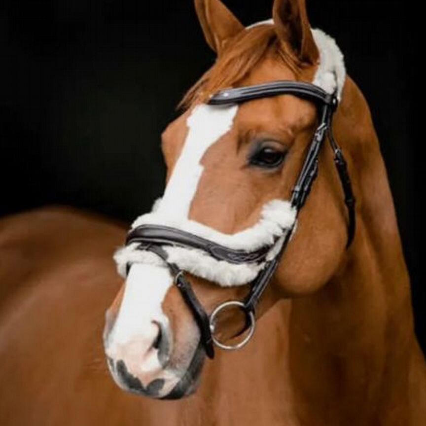 Уздечка анатомическая