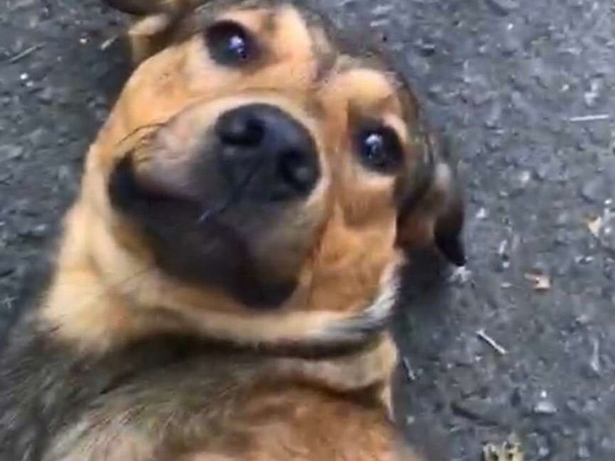 Мальчик ищет семью