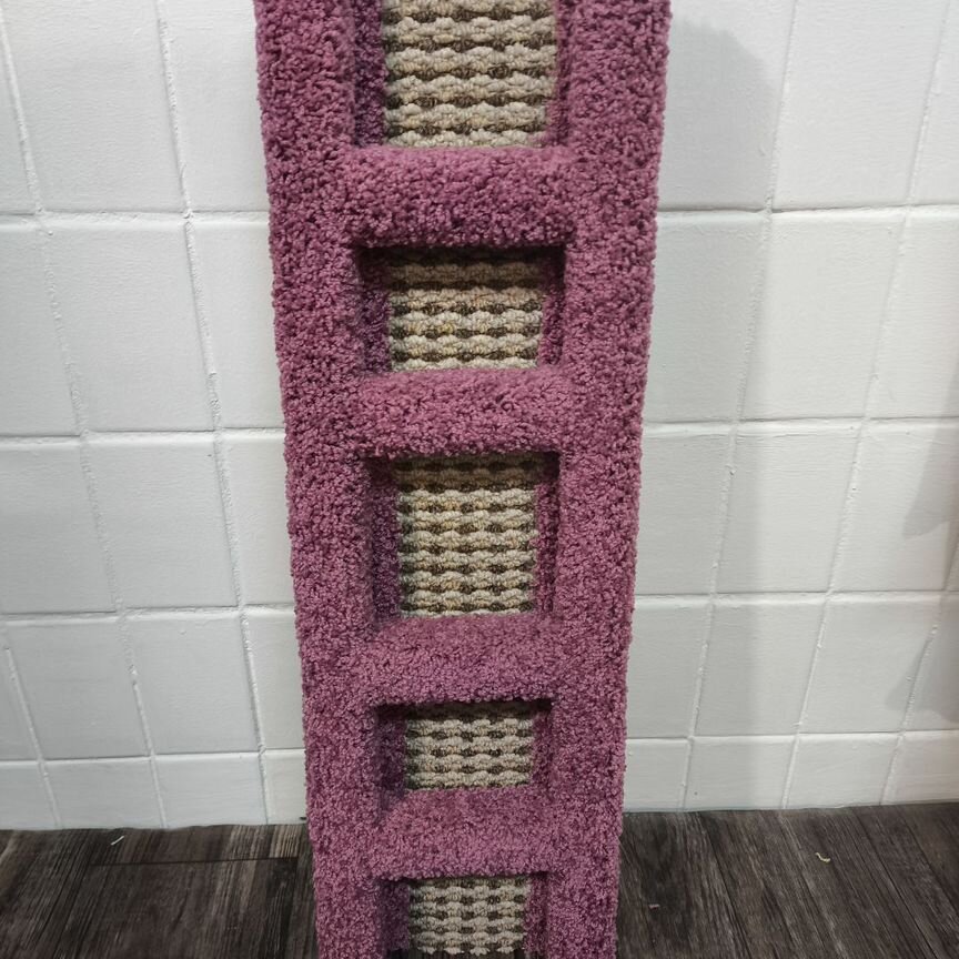 Лесенка когтеточка