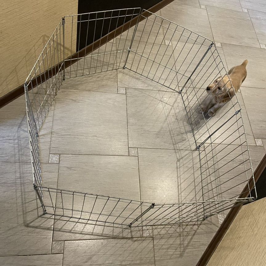 Барьер для животных