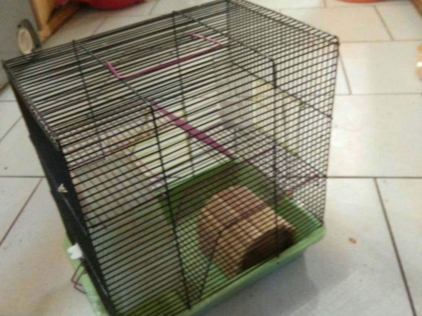 Клетка для мелких грызунов