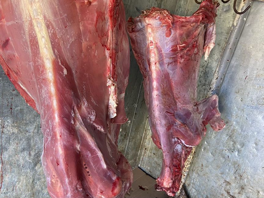 Мясо для собак