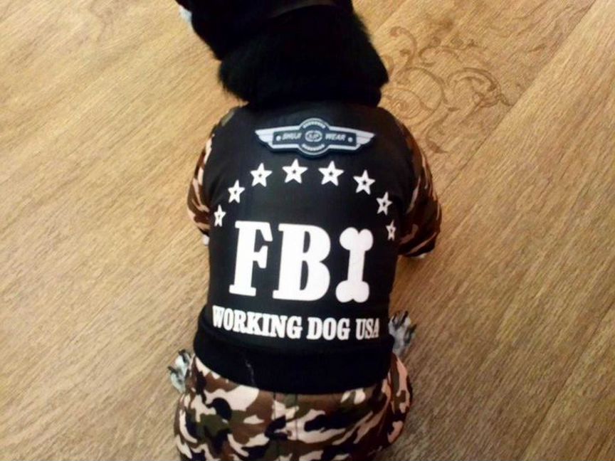 Комбинезон для собак