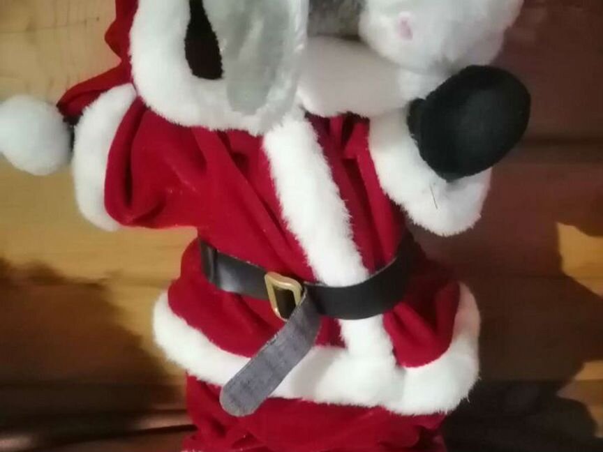 Костюм Санты для собачки