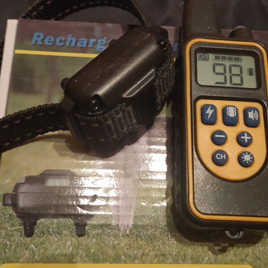 Ошейник с пультом