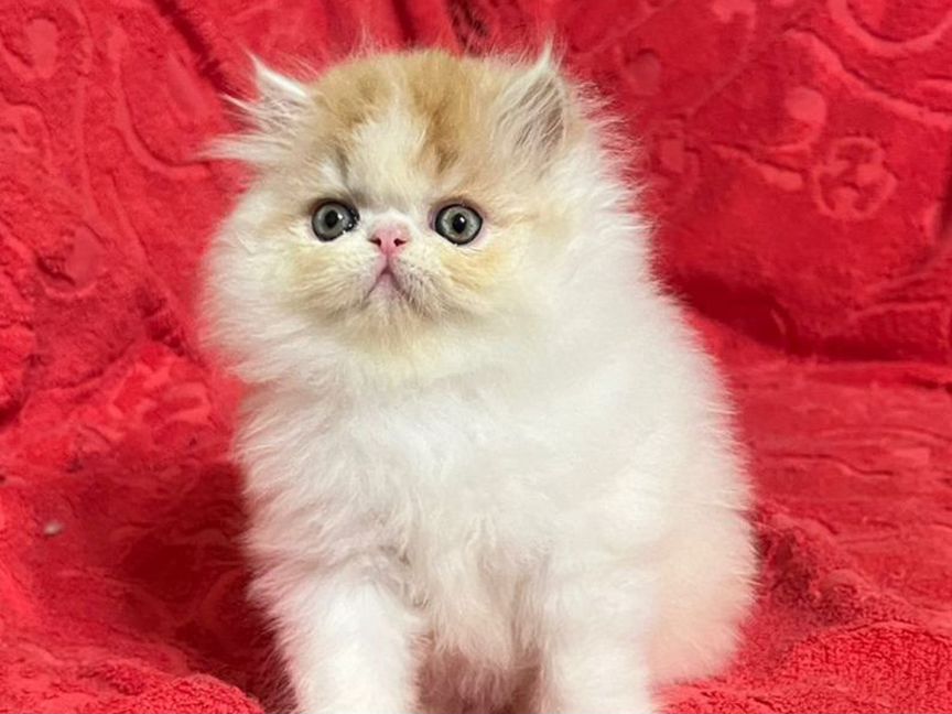 Самые нежные и ласковые малыши