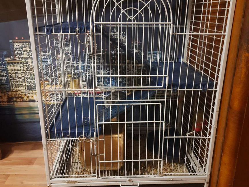 Клетка для грызунов