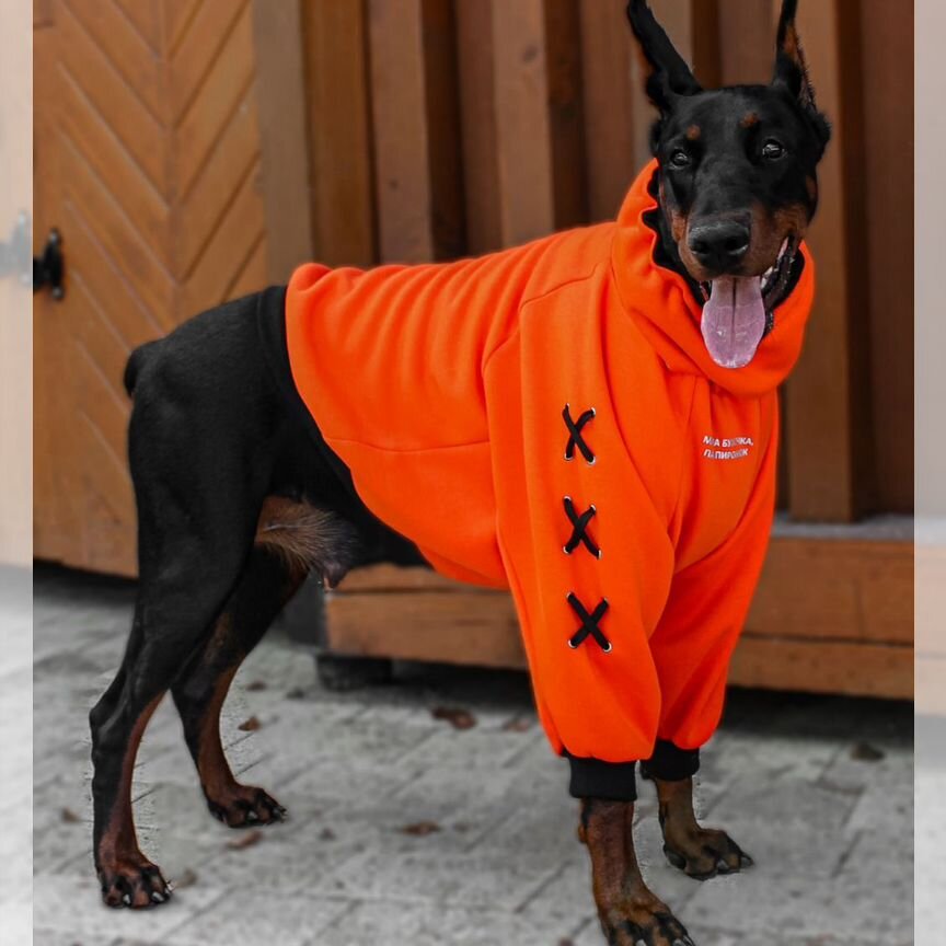 Толстовки для собак с надписью