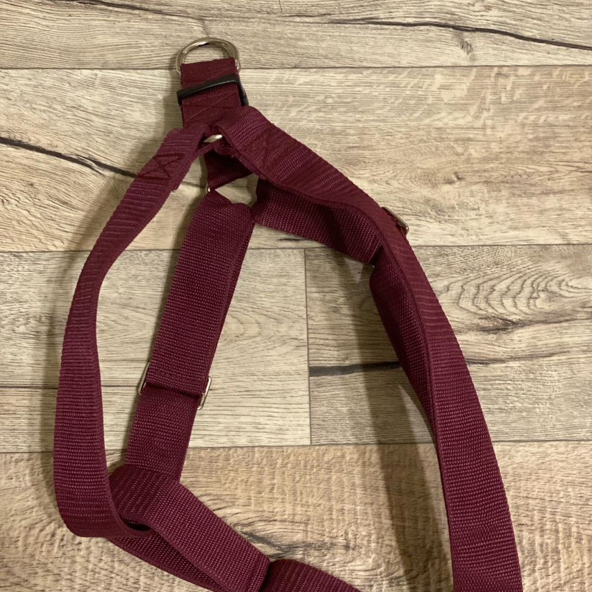 Шлейка для собаки