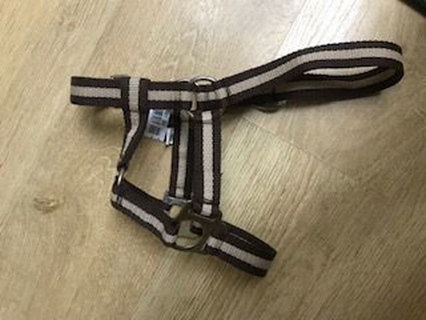 Продам недоуздок для лошади