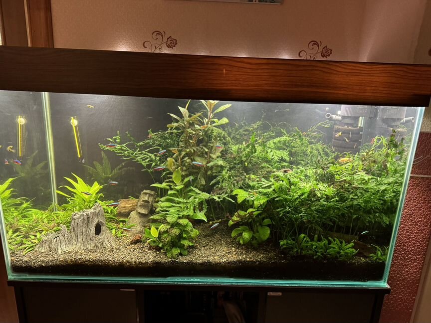 Аквариум 200л