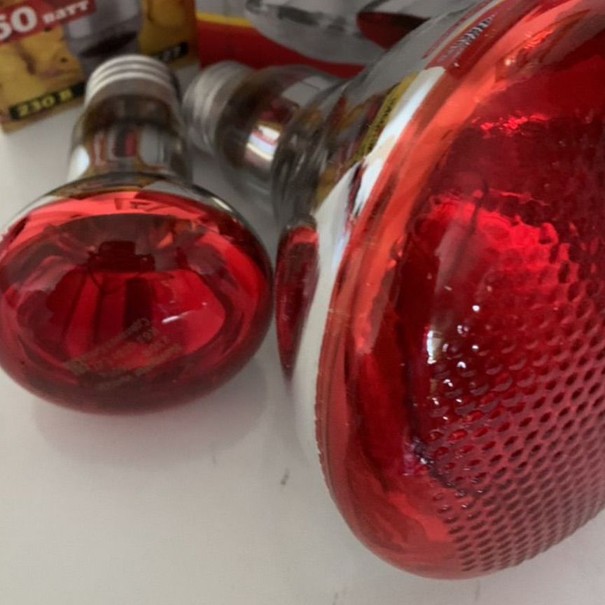 Инфракрасная лампа для цыплят и курочек