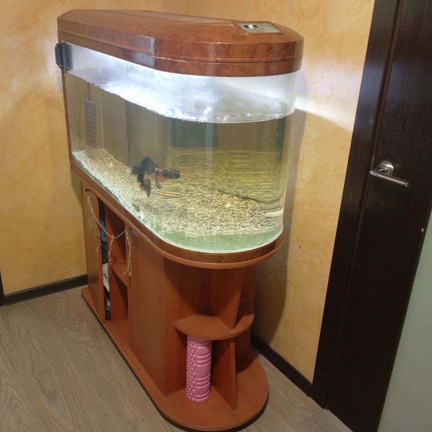 Аквариум jebo