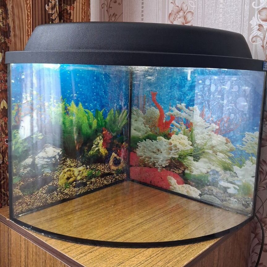 Аквариум угловой