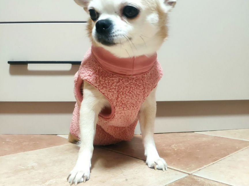 Кофта,майка, желетка для собачки/кошки