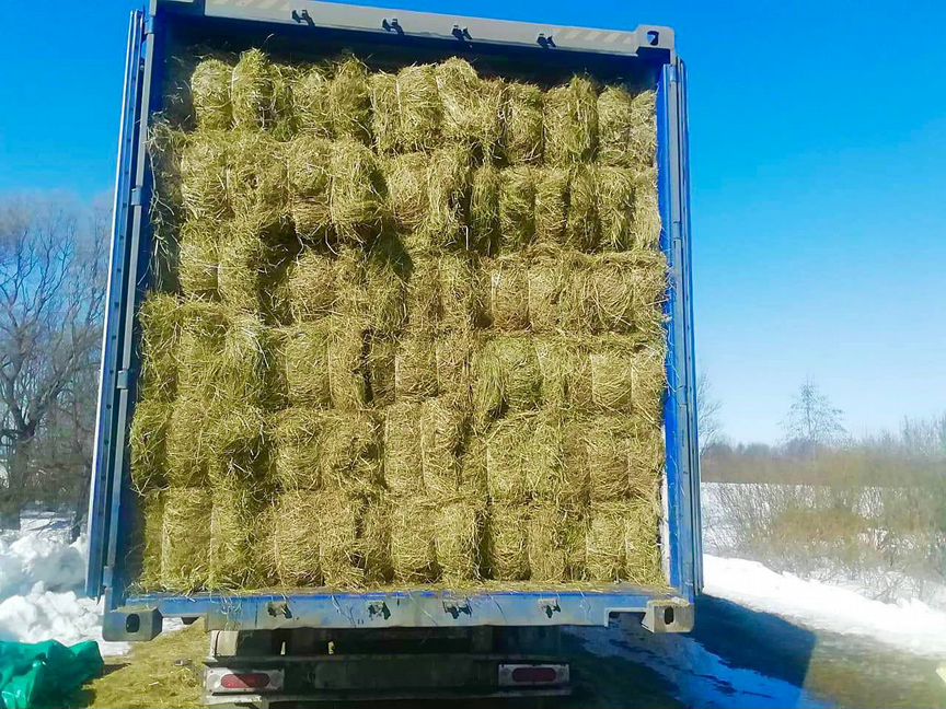 Сено Оптом с доставкой