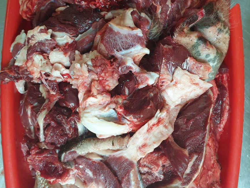 Мясо с голов(говядина) Корм для животных