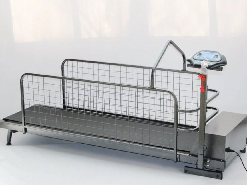 Беговая дорожка для животных