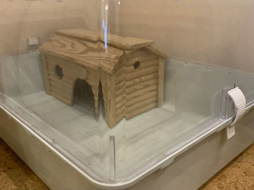 Контейнер, клетка для грызунов и рептилий