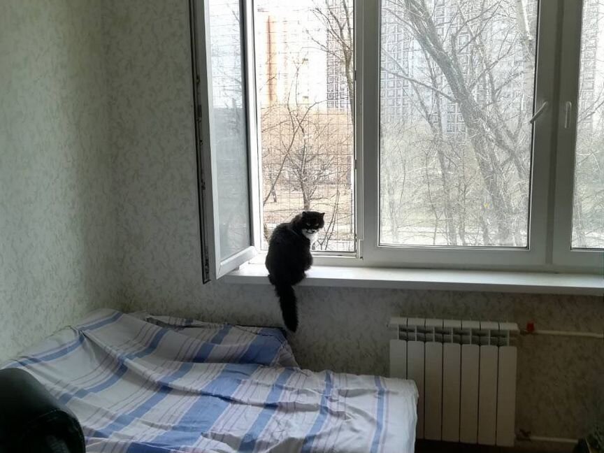 Решетка, сетка. Антикошка, антикот