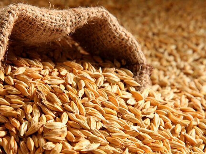 Продам зерно