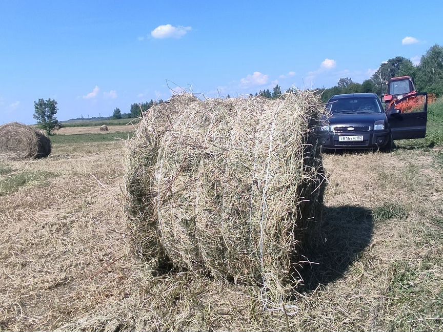 Люцерна в тюках