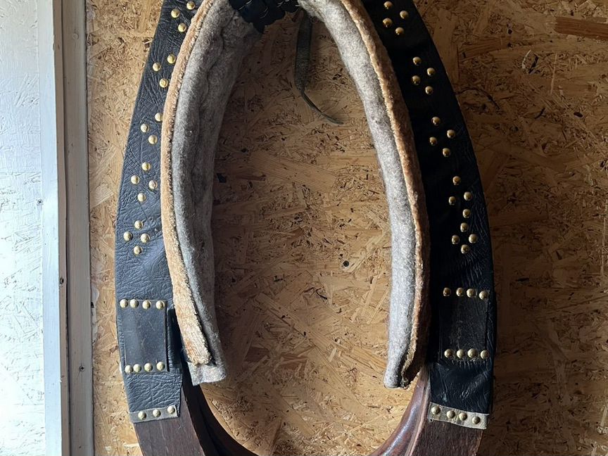 Сбруя для лошади