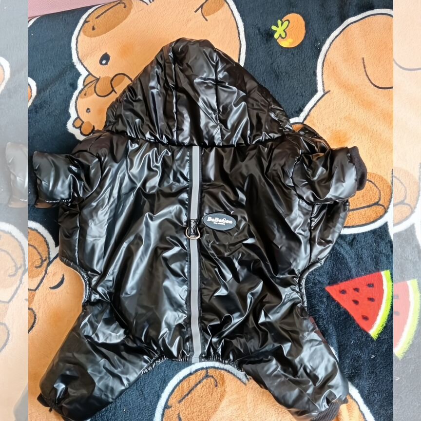 Одежда для собак