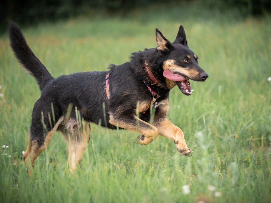 Заводной мальчик из приюта