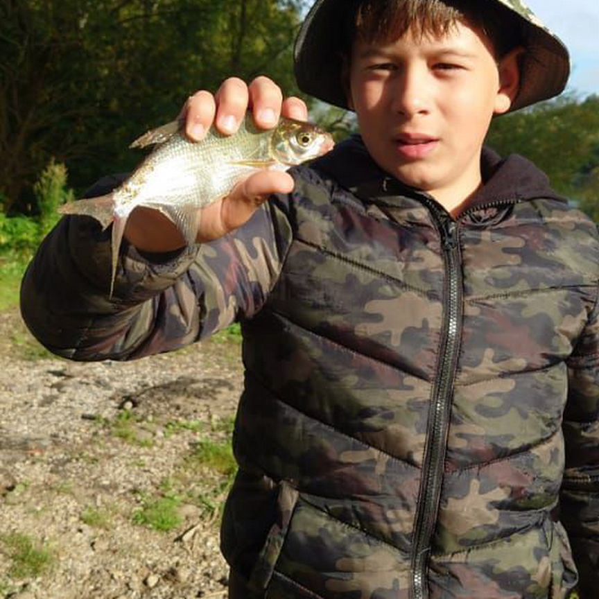 Пищевые отходы