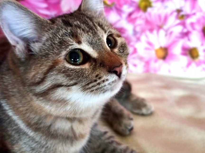 Машенька