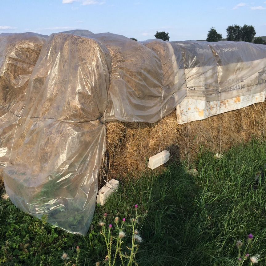 Сено в тюках