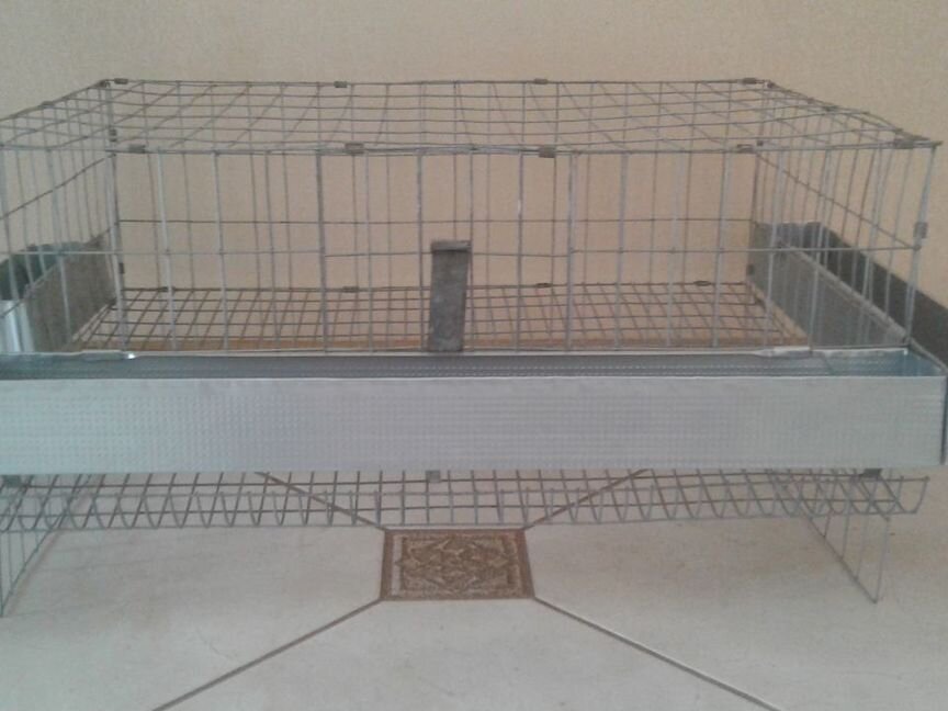 Клетки для перепелов