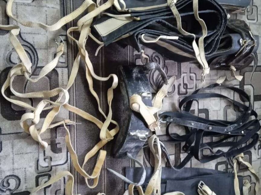 Сбруя для лошади