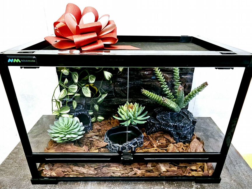 Террариум для эублефара или змеи