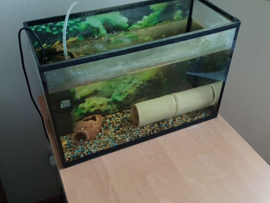 Оснащенный аквариум на 35 литров