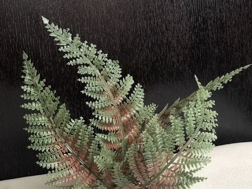 Водросли искусственные (новые)