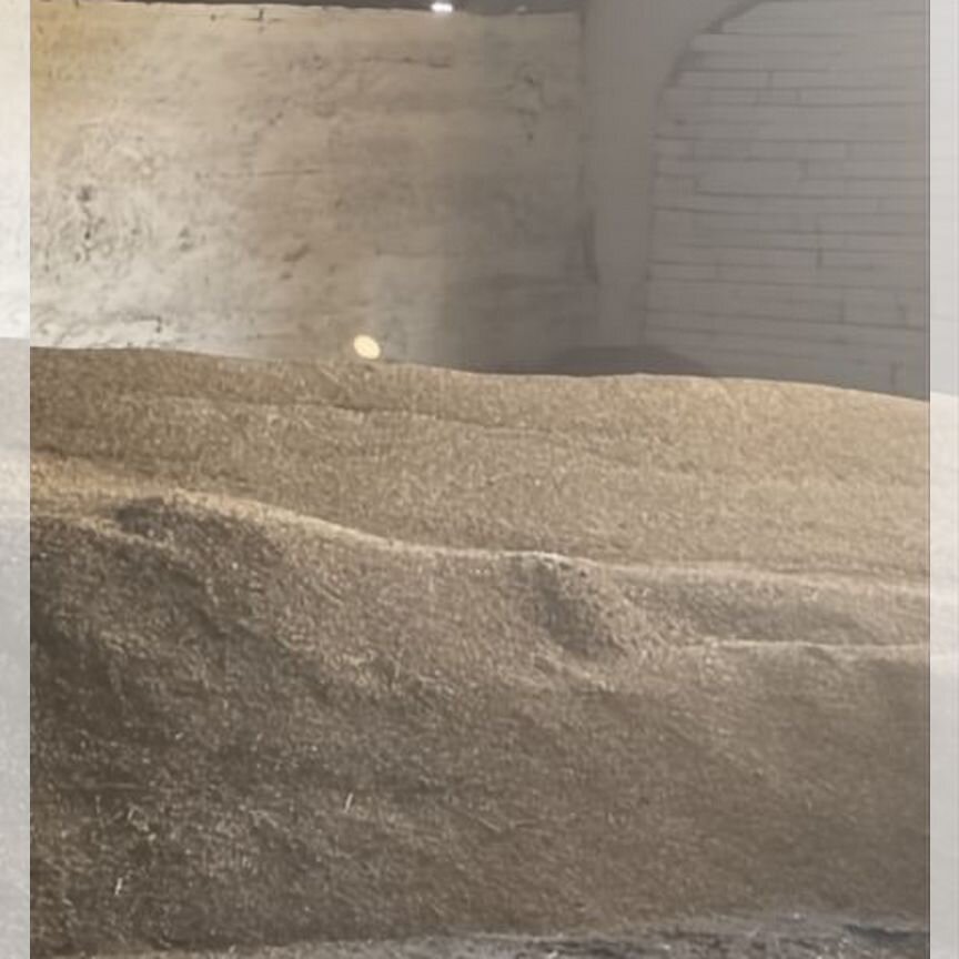 Зерно пшеница ячмень