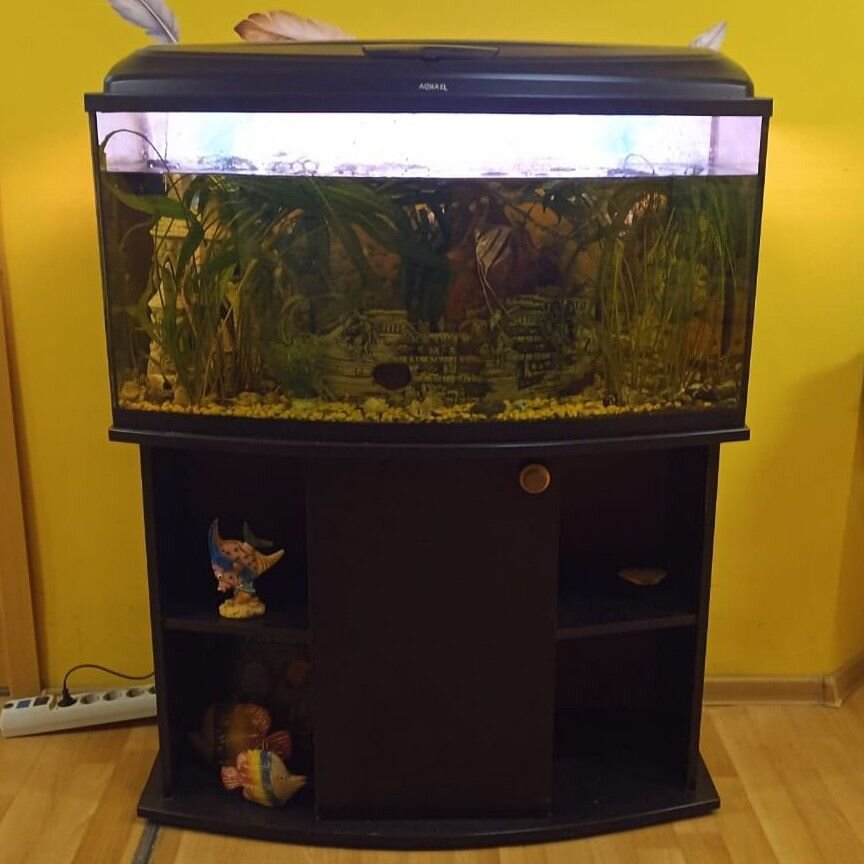 Аквариум 200 литров с тумбой и рыбками