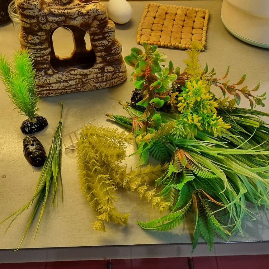 Набор искусственных растений и грот