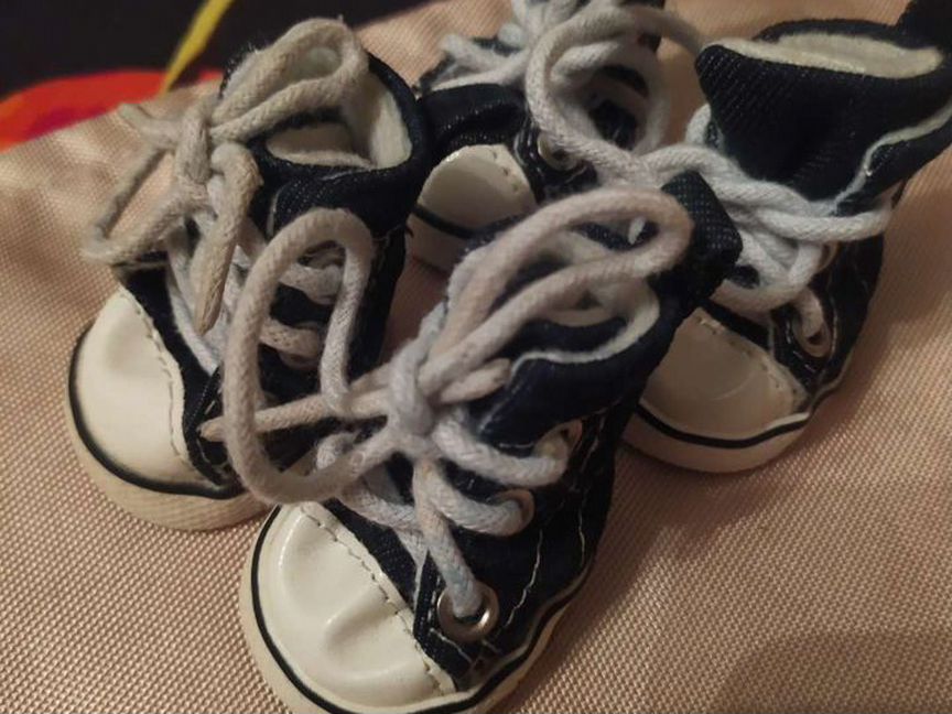 Кеды для собак, обувь собаки йоркширского терьера